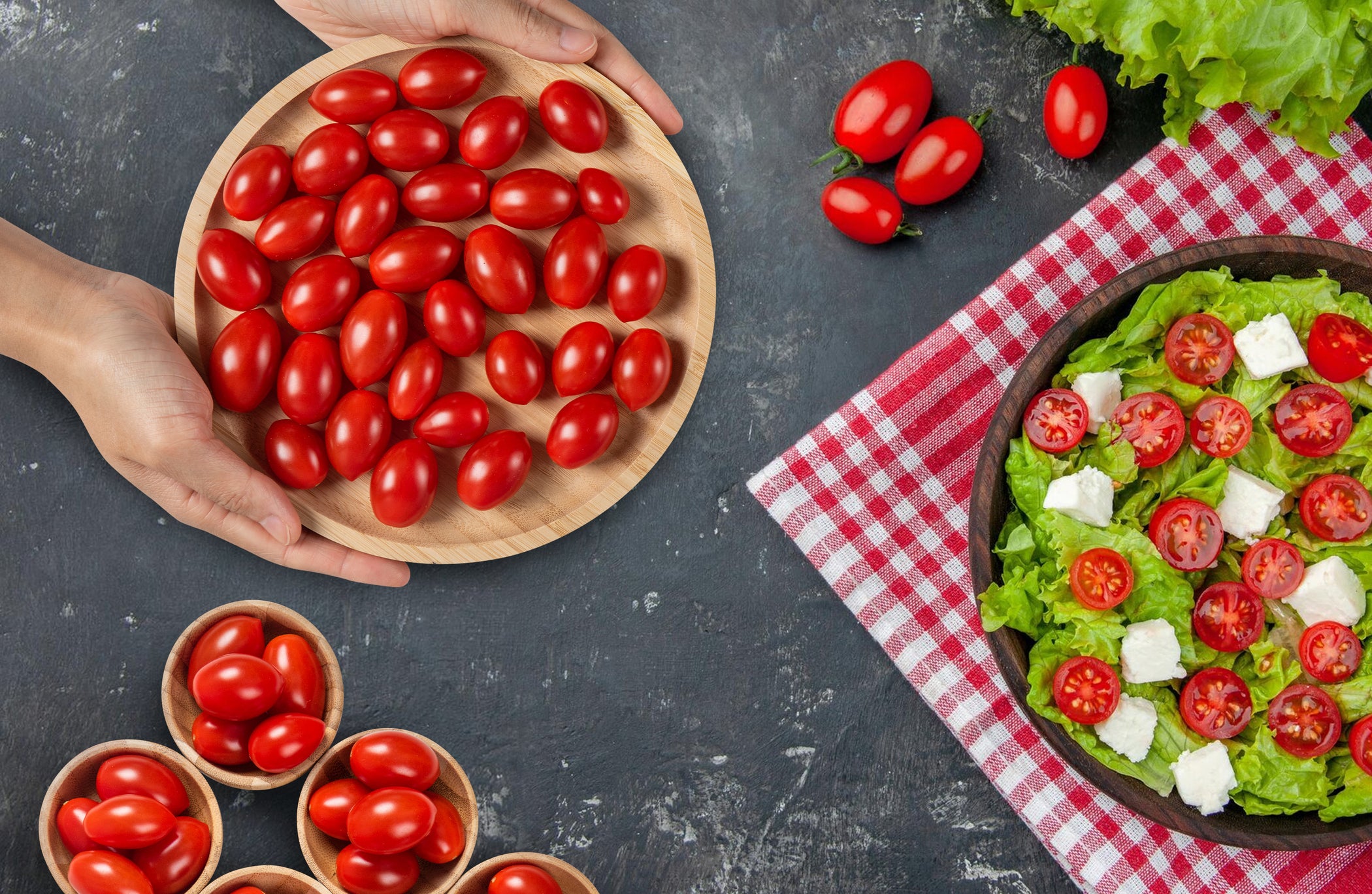 Astyfarm – Tomat Stevia Premium Manis dengan Teknologi Korea – PT ASTY ...