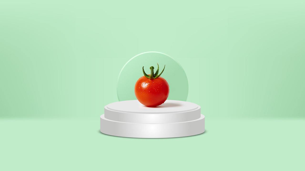 Astyfarm – Tomat Stevia Premium Manis dengan Teknologi Korea – PT ASTY ...